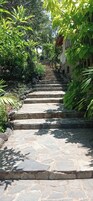 Escadaria de pedra rodeada por vegetação exuberante, levando a um edifício com fachada branca e telhado castanho.