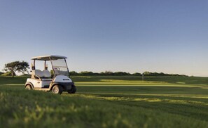 Um carrinho de golfe em um campo verde com uma bandeira ao longe.