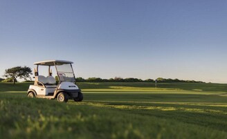 Um carrinho de golfe em um campo verde com uma bandeira ao longe.