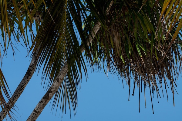 Na praia, areia branca, barracas de praia (sobretaxa), espreguiçadeiras