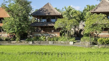 Classic Duplex Rice Field View | 2 quartos, minibar, cofre no quarto, com decoração personalizada