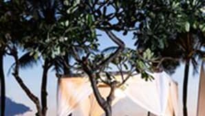 Uma área de refeições ao ar livre tranquila, com uma mesa posta sob um toldo, cercada por árvores e com vista para águas calmas.