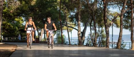 Duas pessoas andando de bicicleta em um caminho pavimentado, cercado por árvores.