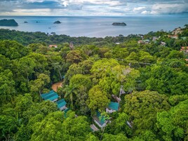Uma paisagem verdejante e exuberante, com um pequeno conjunto de edifícios rodeado por uma floresta densa.