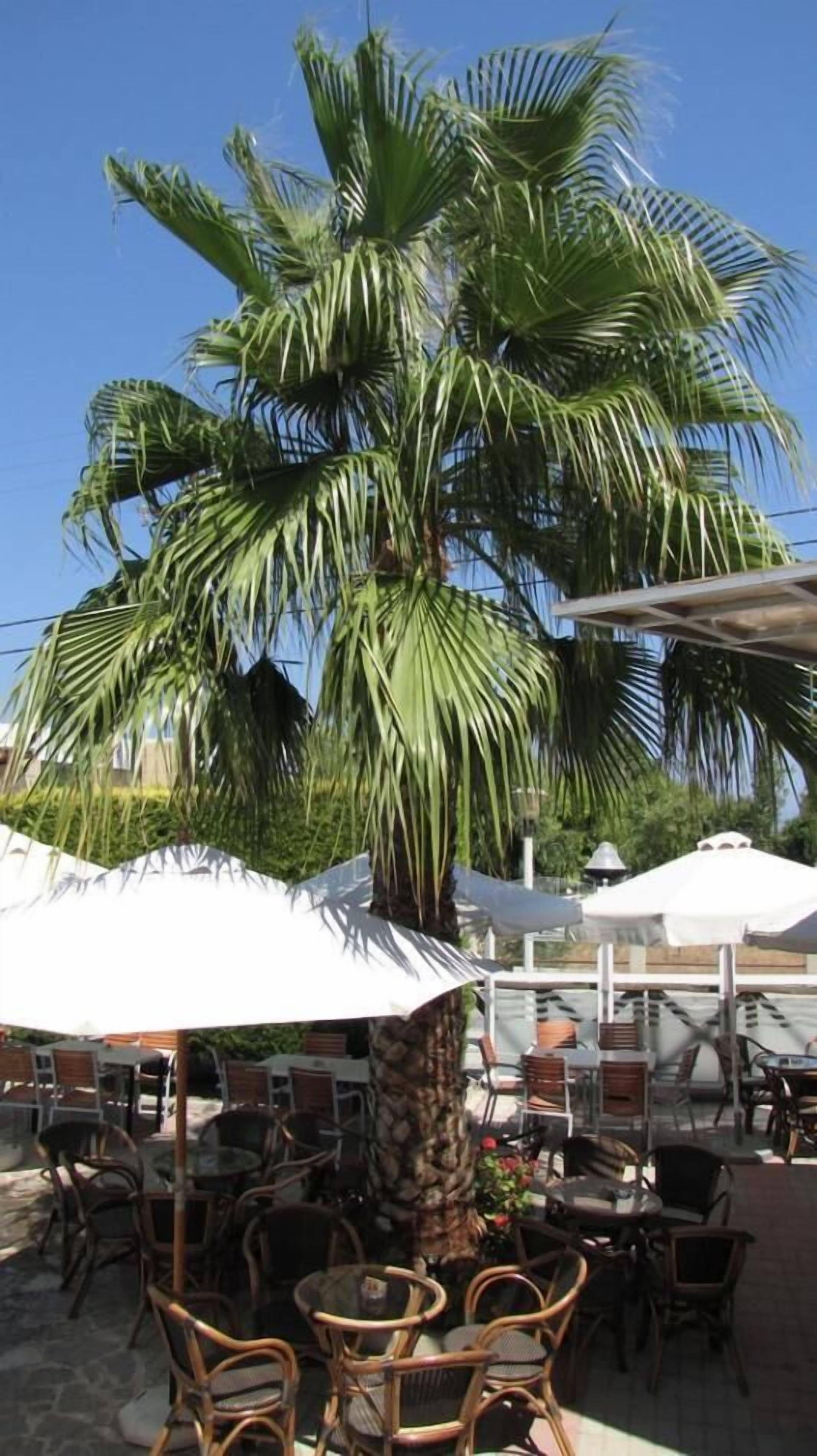 Café da manhã, almoço e jantar