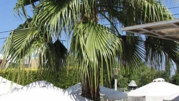 Café da manhã, almoço e jantar