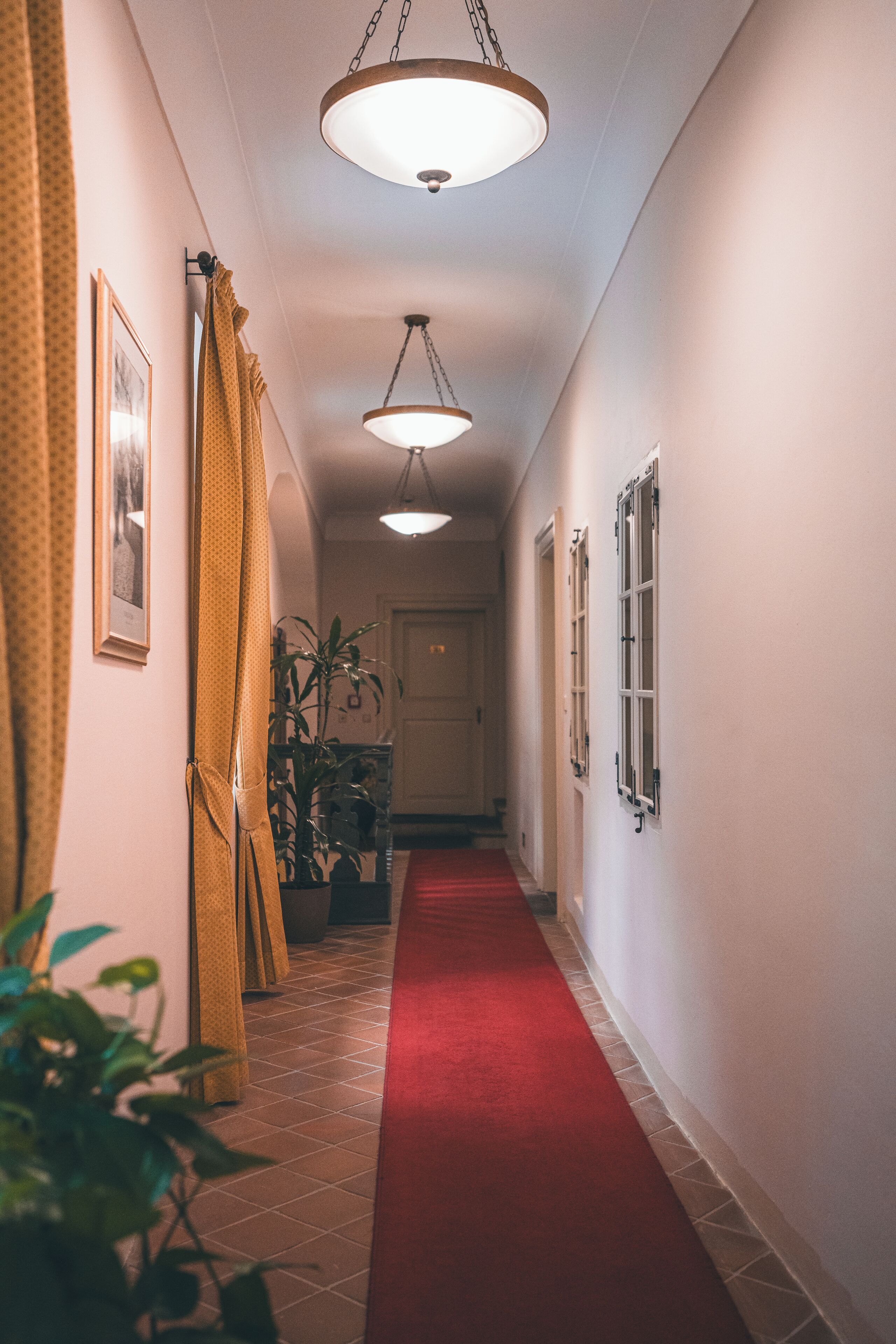 Um corredor com carpete vermelho, luminária pendente e um vaso de planta.