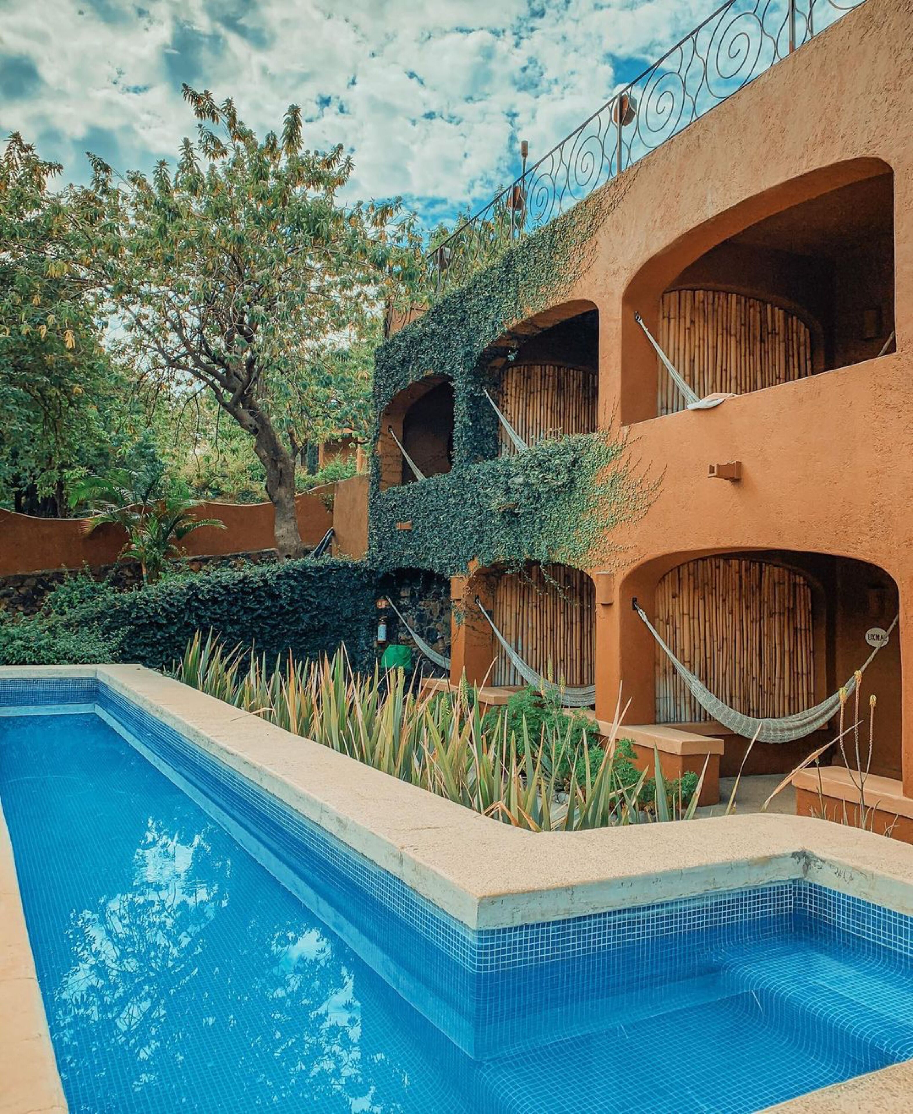 Piscina com borda azulejada, rodeada por um jardim com diversas plantas e uma rede.