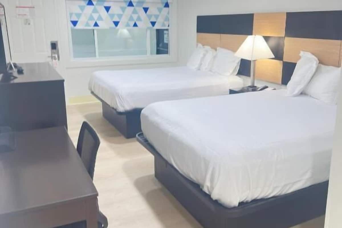 Quarto Standard (2 Beds) | Secretária, ferro/tábua de engomar, Wi-fi grátis
