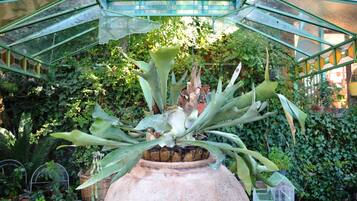 Jardim