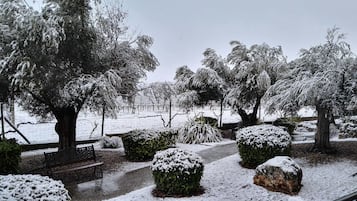 Jardim