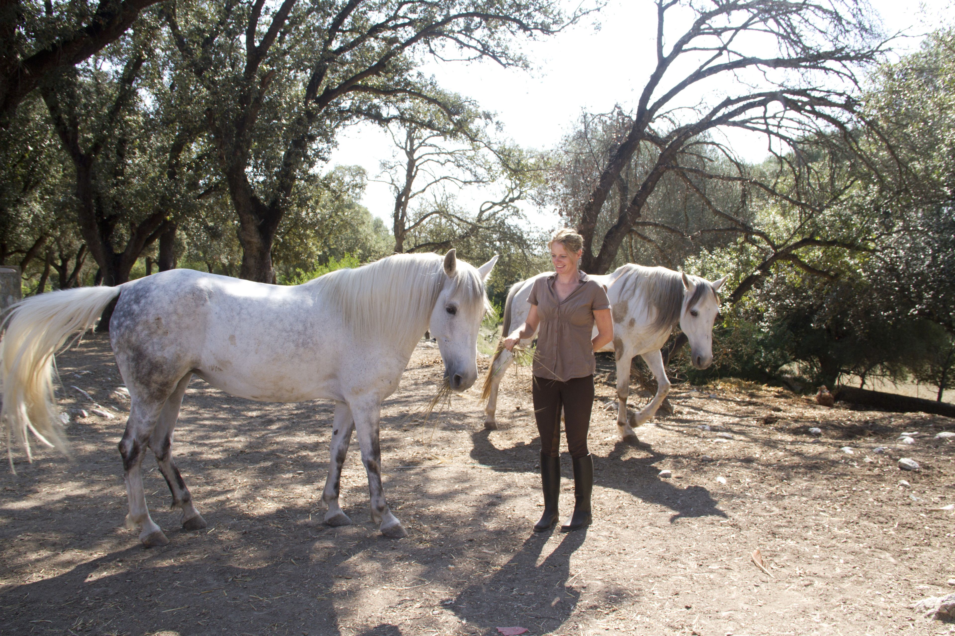 Uma pessoa em pé entre duas cavalos em um ambiente natural com árvores.