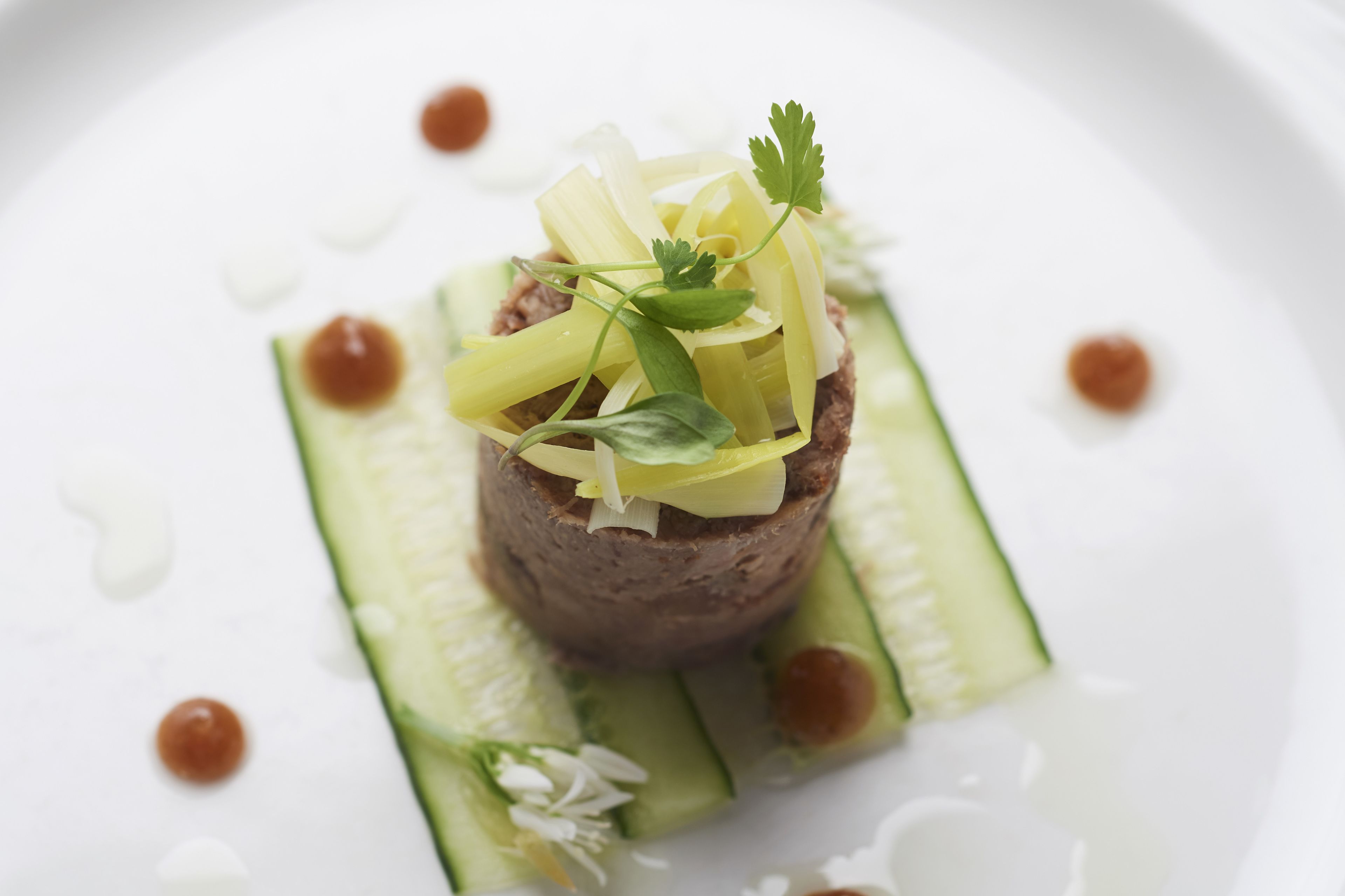 Prato servido com carne ao centro, decorado com folhas verdes e legumes fatiados finamente, rodeado por pequenos pontos marrons e fatias de pepino.