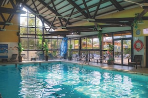 Uma piscina interior com água cristalina, rodeada por espreguiçadeiras e plantas em vasos.