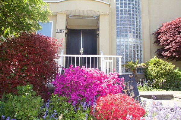 海之星旅馆 - 白石