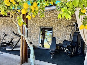 Paredes de pedra, esteira ergométrica e área com banco de musculação.