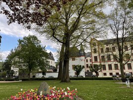 Vista para a região