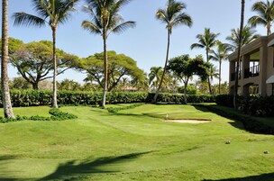 Um campo de golfe bem cuidado com uma haste de bandeira visível, rodeado por palmeiras e um edifício com varandas.