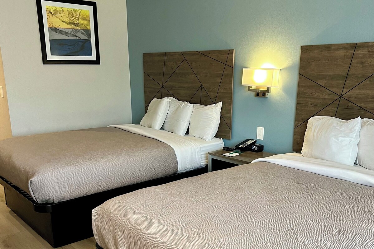 Quarto de hotel com duas camas, uma mesa de cabeceira, um abajur e um quadro na parede.