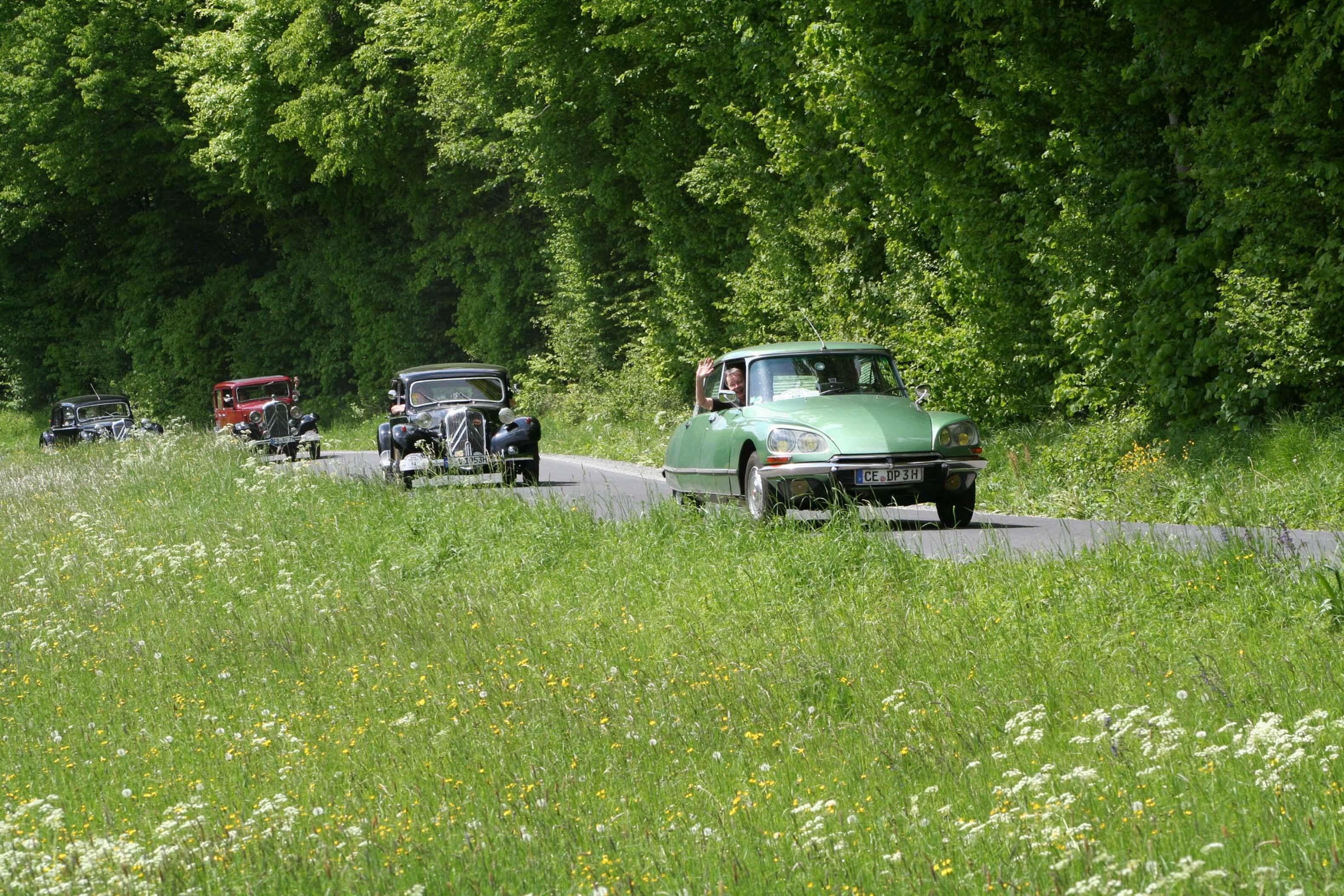 Um desfile de carros antigos numa estrada ladeada por vegetação exuberante e flores silvestres.