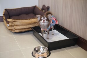 Comodidades para animais de estimação