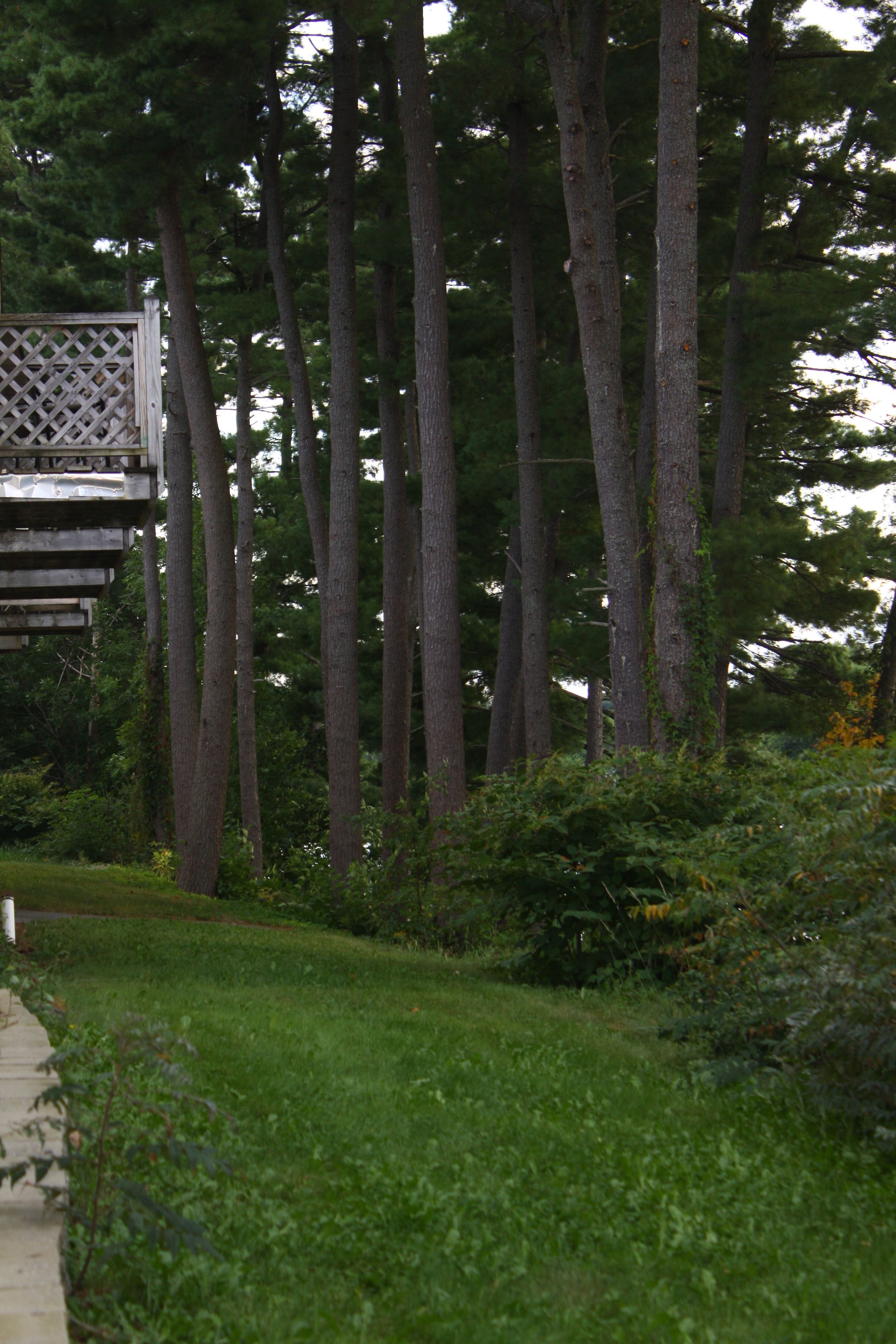 Terrenos do alojamento