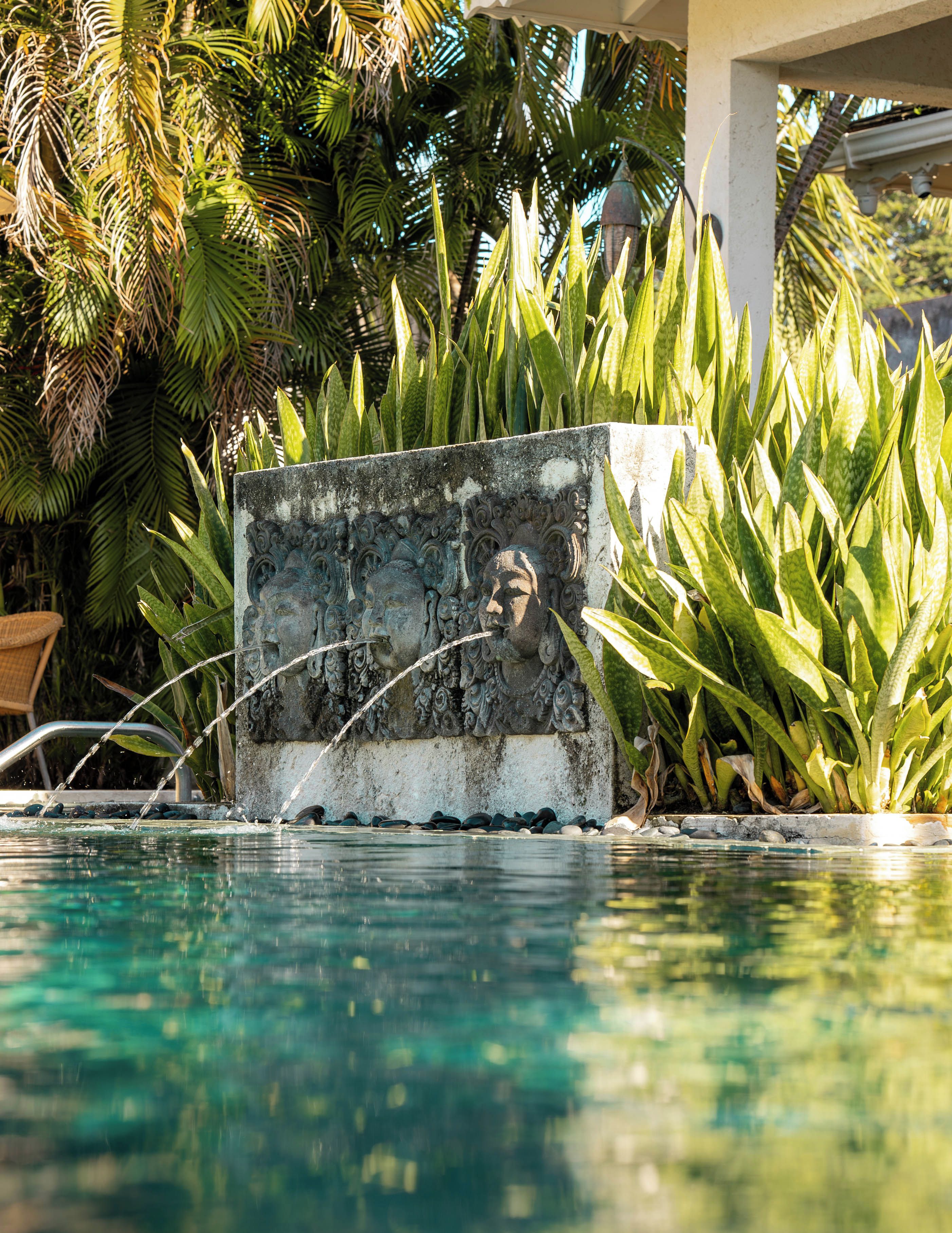 Uma piscina com águas cristalinas, rodeada por vegetação exuberante e um muro de pedra decorativo.