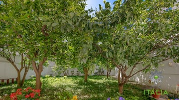 Terraço/pátio interior