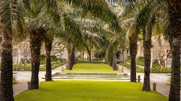Jardim