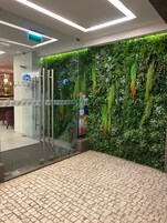 Entrada (vista interior)