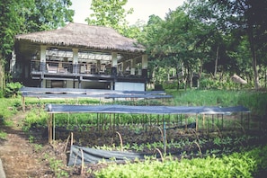 Jardim