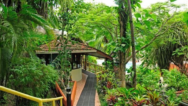 Caminho que leva a um gazebo cercado por vegetação exuberante e plantas tropicais.