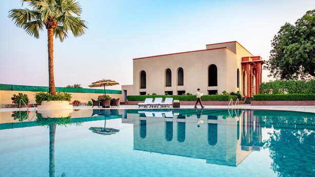 Piscina com espreguiçadeiras e uma palmeira.