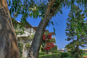 Um edifício com várias varandas, algumas com plantas e flores, e um céu azul claro ao fundo.