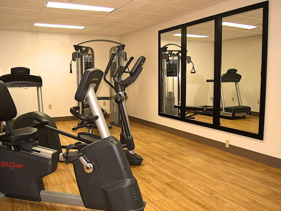 Uma academia com equipamentos de cardio, um espelho e uma esteira.