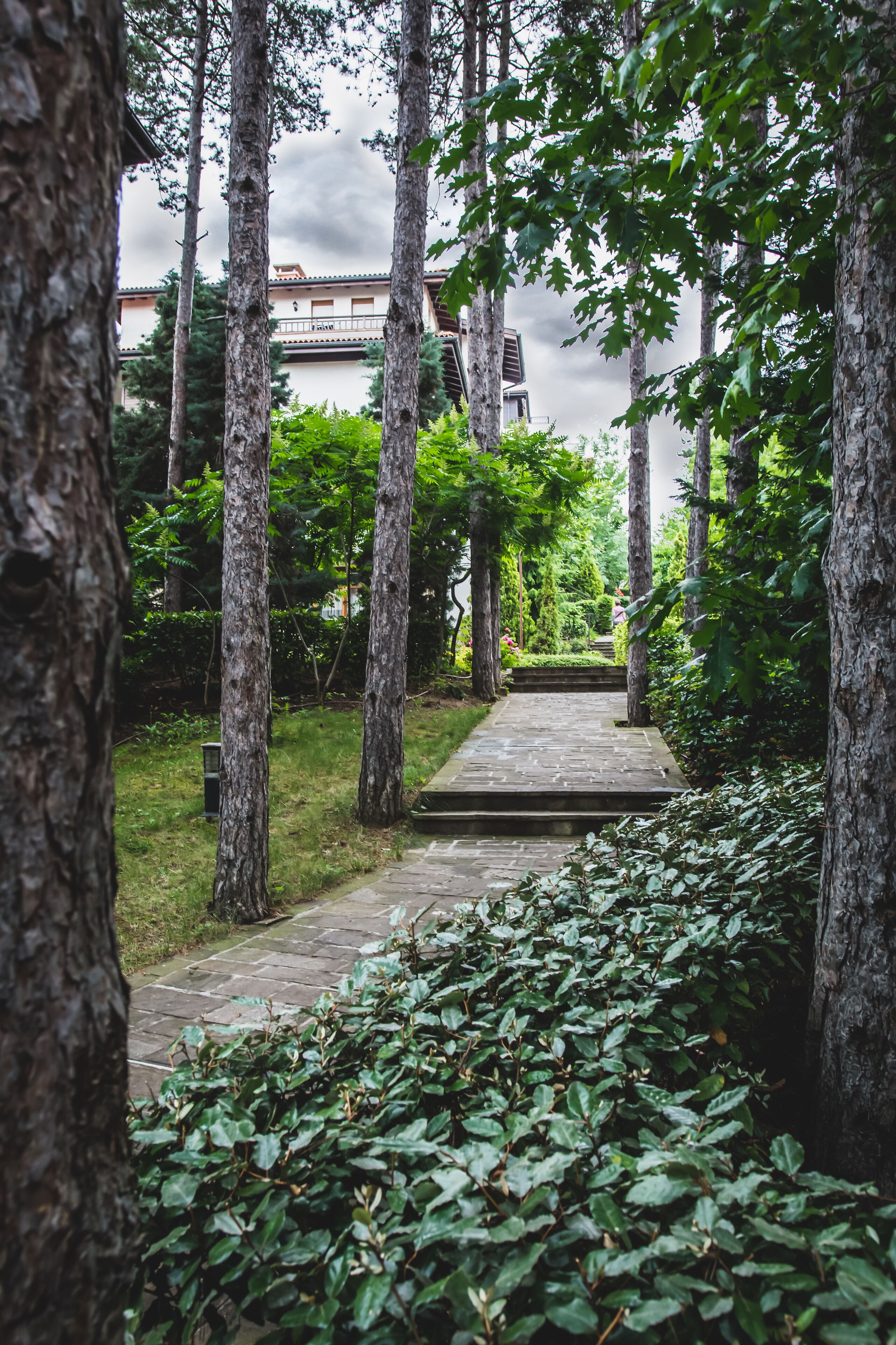 Jardim