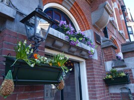 Terraço/pátio interior