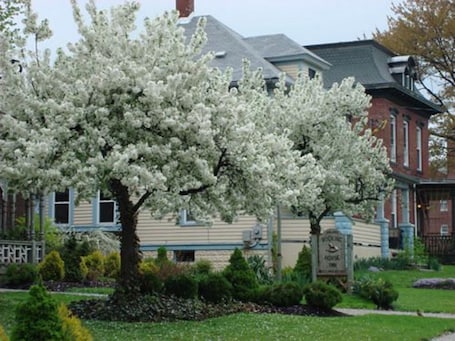 Exterior. Rocking Horse Inn
