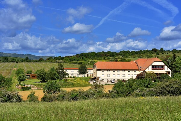 Hotel Du Bollenberg - Rouffach
