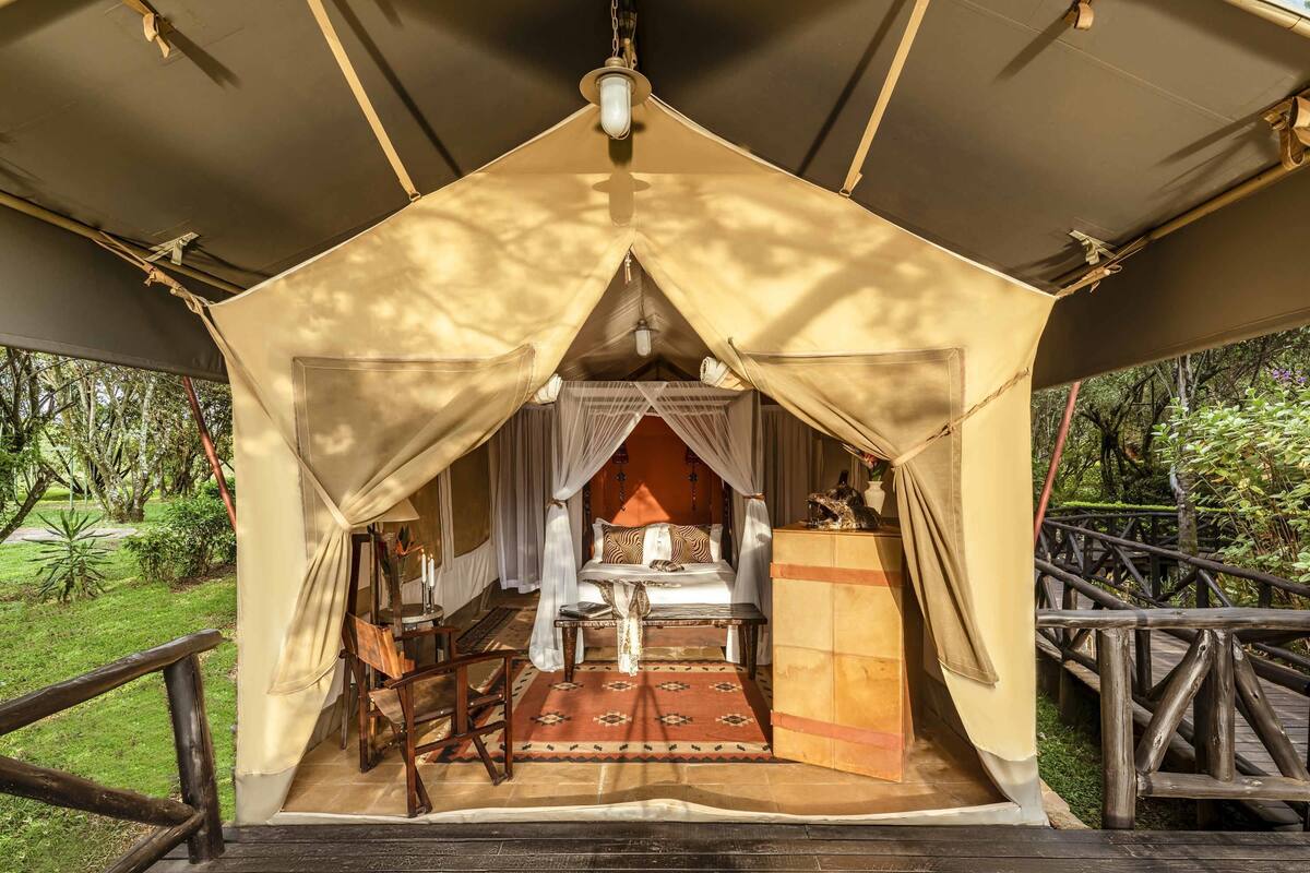 Alojamento em tenda com cama, mesa de cabeceira e vista para o verde ao redor.