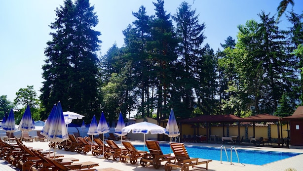Área de piscina com espreguiçadeiras de madeira e guarda-sóis, cercada por árvores altas.