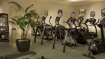 Uma academia com várias bicicletas ergométricas, um banco e um vaso de plantas.