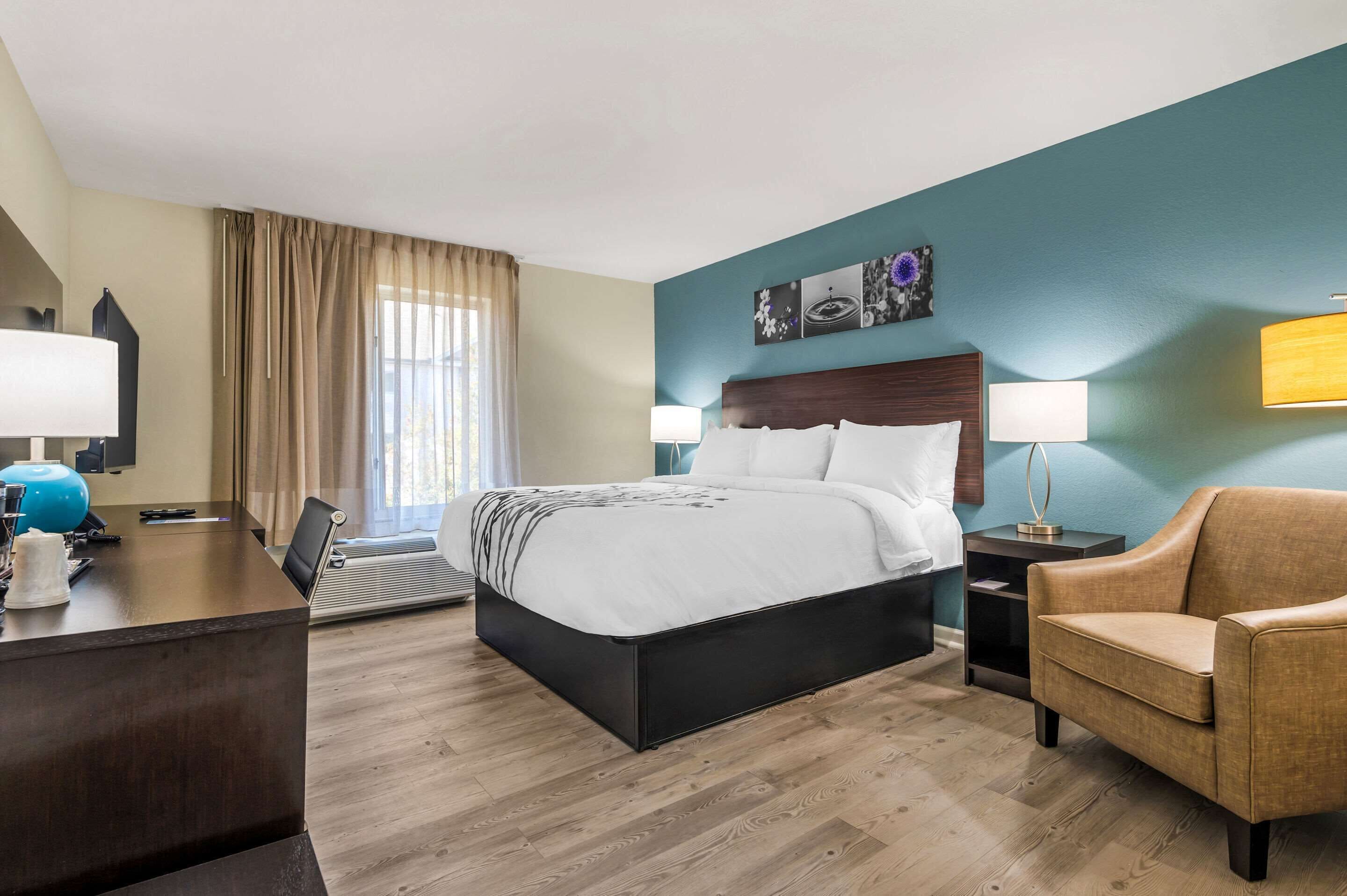 Quarto Standard, 1 cama king-size, não fumadores | Lençóis de algodão egípcio, roupa de alta qualidade, edredões de penas 