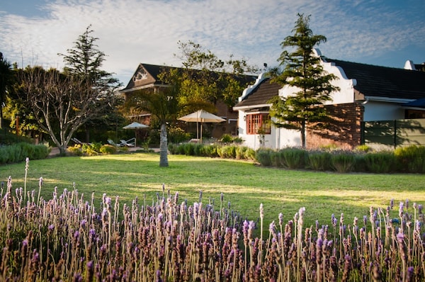 At Winkfield House - Somerset West