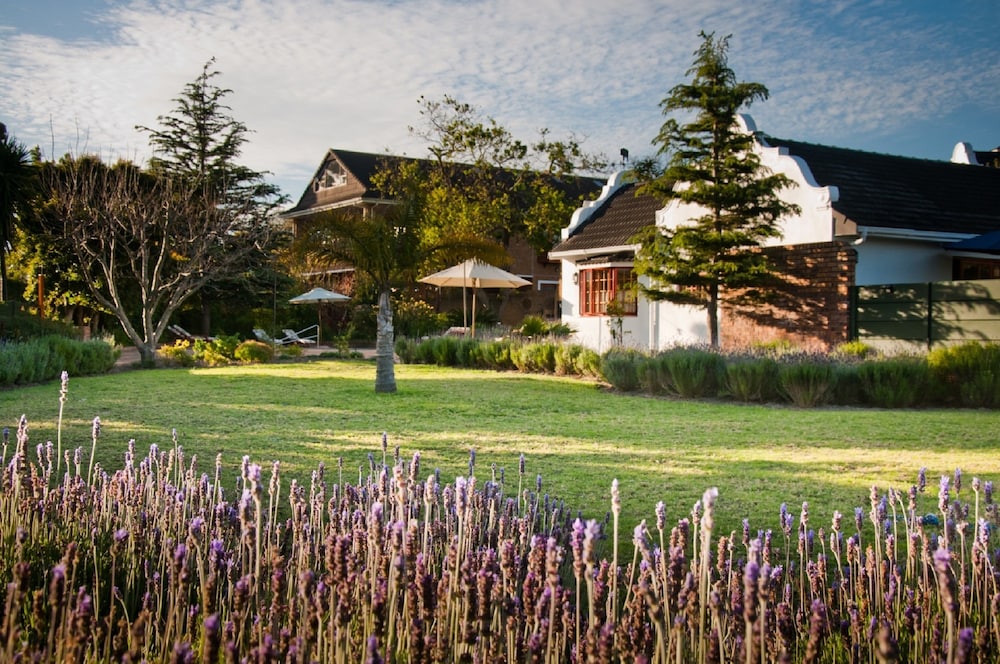 At Winkfield House - Somerset West