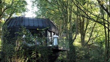 Uma cabana de madeira rodeada por floresta densa.