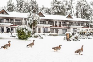 Roupa hipoalergénica, cortinas/cortinados opacos, Wi-fi grátis