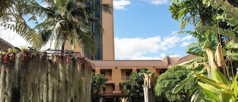 Pátio de hotel com um edifício alto, palmeiras e um pequeno espelho d'água.