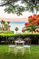 Um jardim com mesa e cadeiras, vista para o mar e uma planta florida vermelha.
