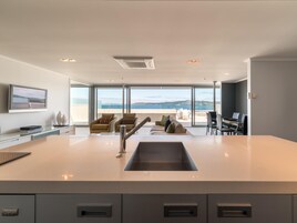 Penthouse, 2 quartos, vista para o lago | Cozinha privada | Um frigorífico, um micro-ondas, um forno, uma placa de cozinha 